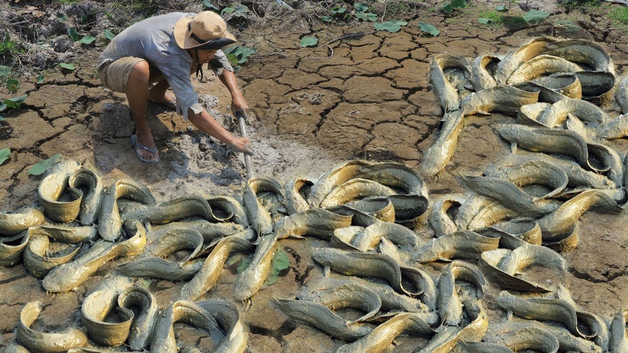 Amazing find a lot of catfish in mud dry season by hand - YouTube