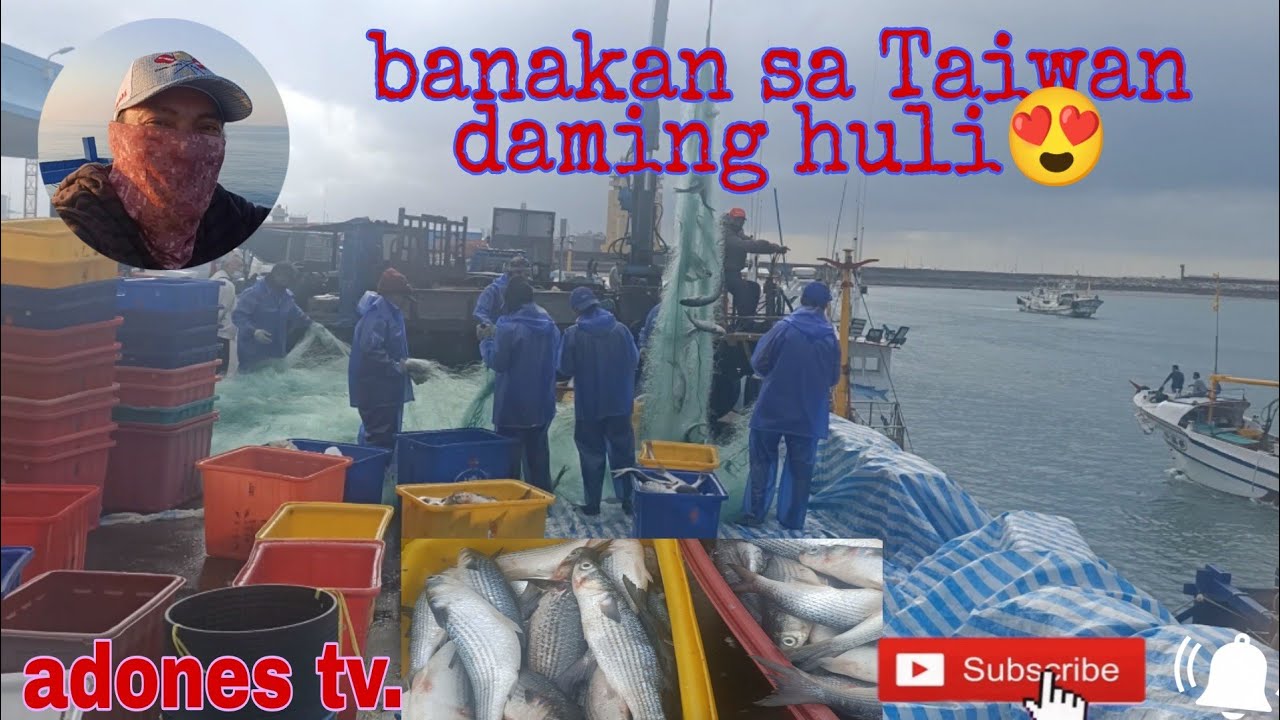 banakan sa Taiwan|daming huli #fishingvideo #taiwanfishing # ...
