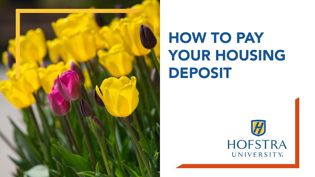 How to Pay Your Housing Deposit - YouTube