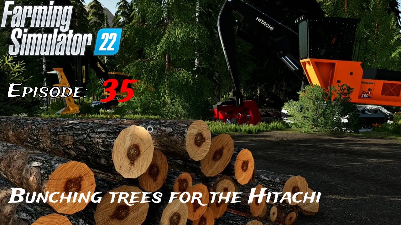 FS22 Logging-Start From Scratch Ep. 35: TigerCat Feller/Buncher cutting ...