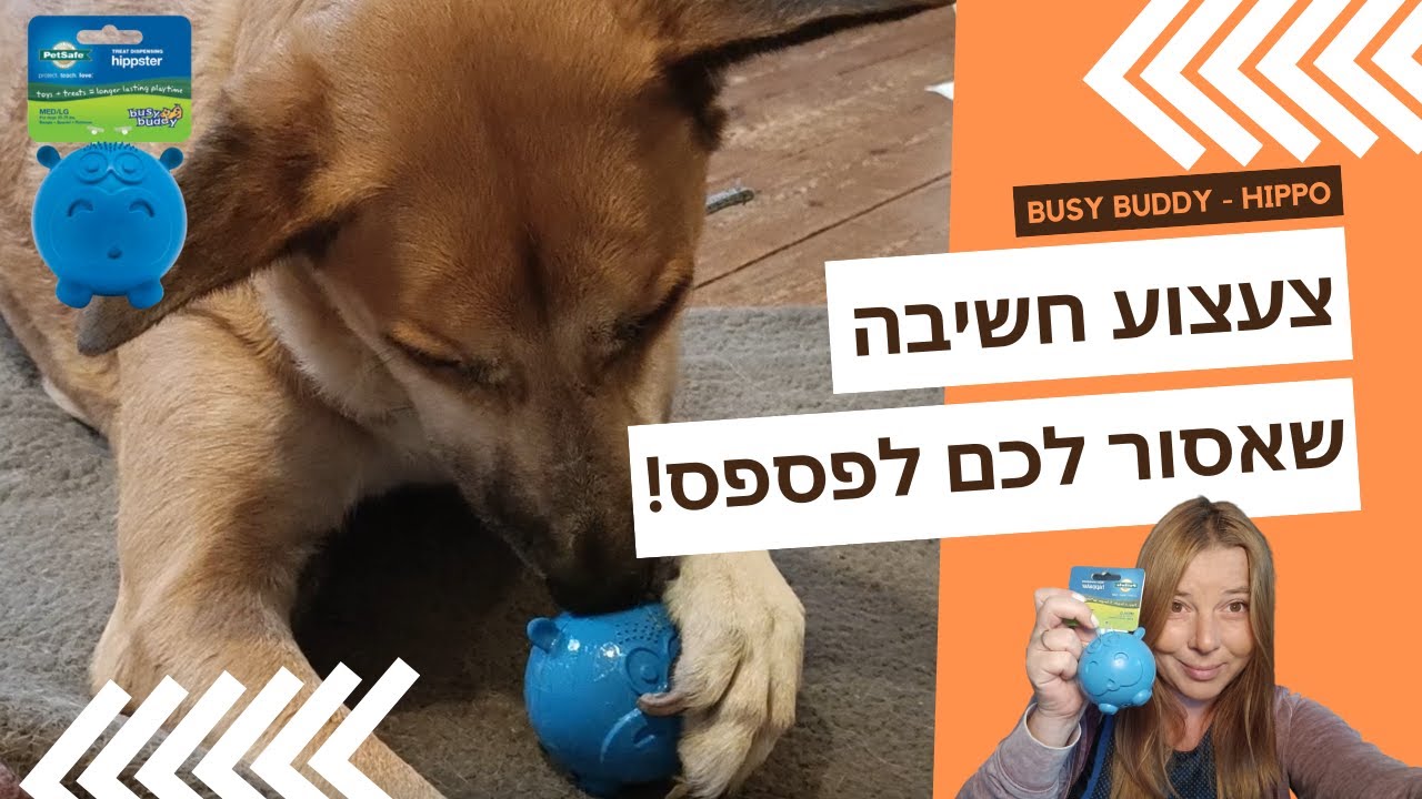 צעצוע חשיבה לכלב - Busy Buddy Hippo - YouTube