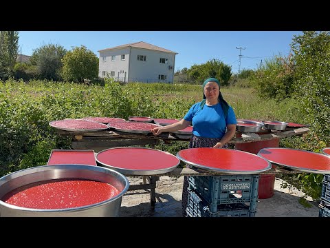 A dan Z ye tüm püf noktalarıyla salça yapımı |270 kilo domatesten salça yapımı mı❗️