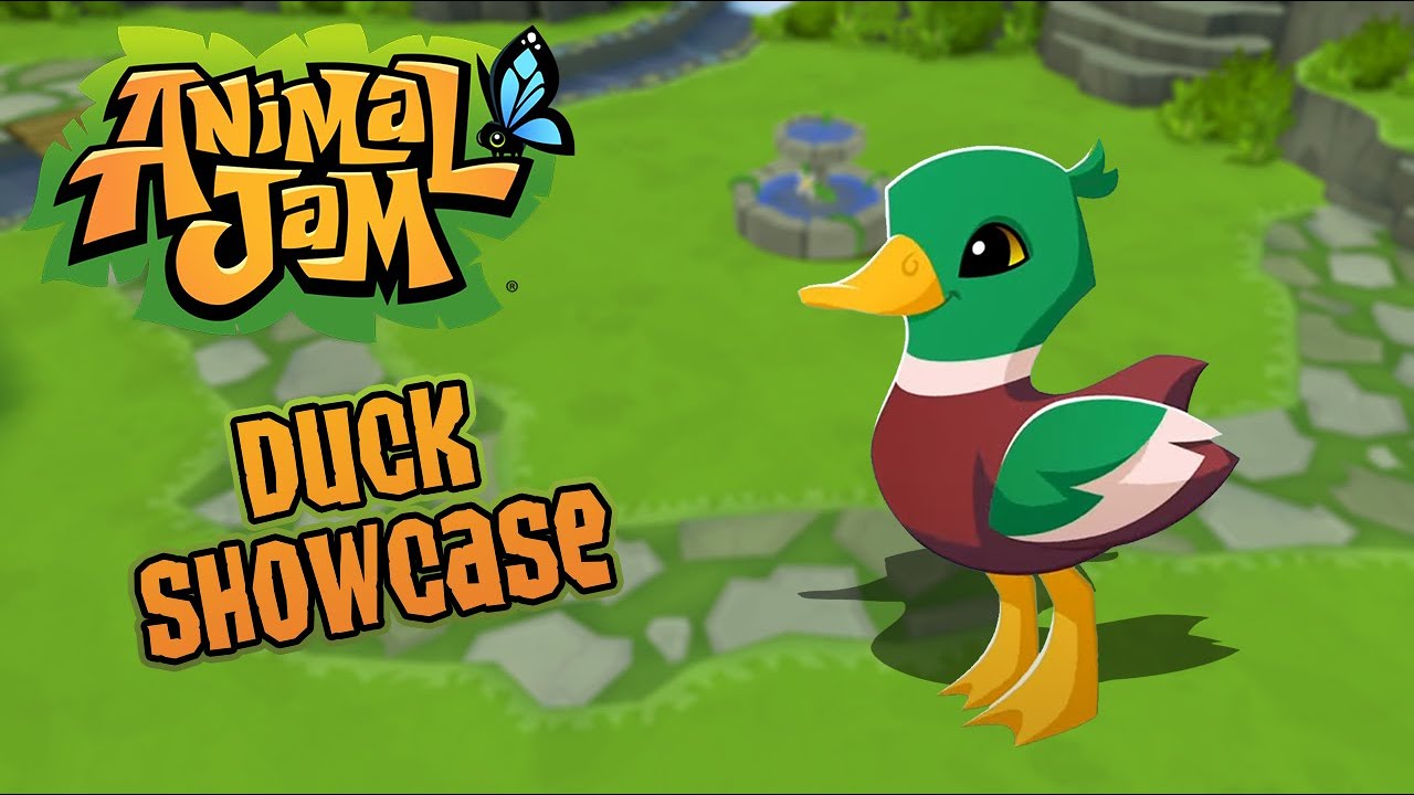Animal Jam - Animal Showcase: Duck 🦆 - YouTube