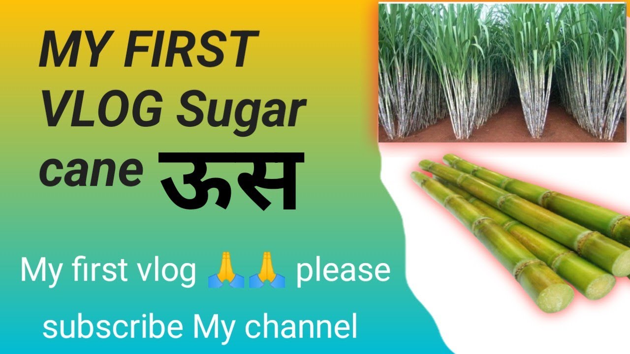 my-first-vlog-my-first-video-on-youtube-marathi-vlog-for-sugar