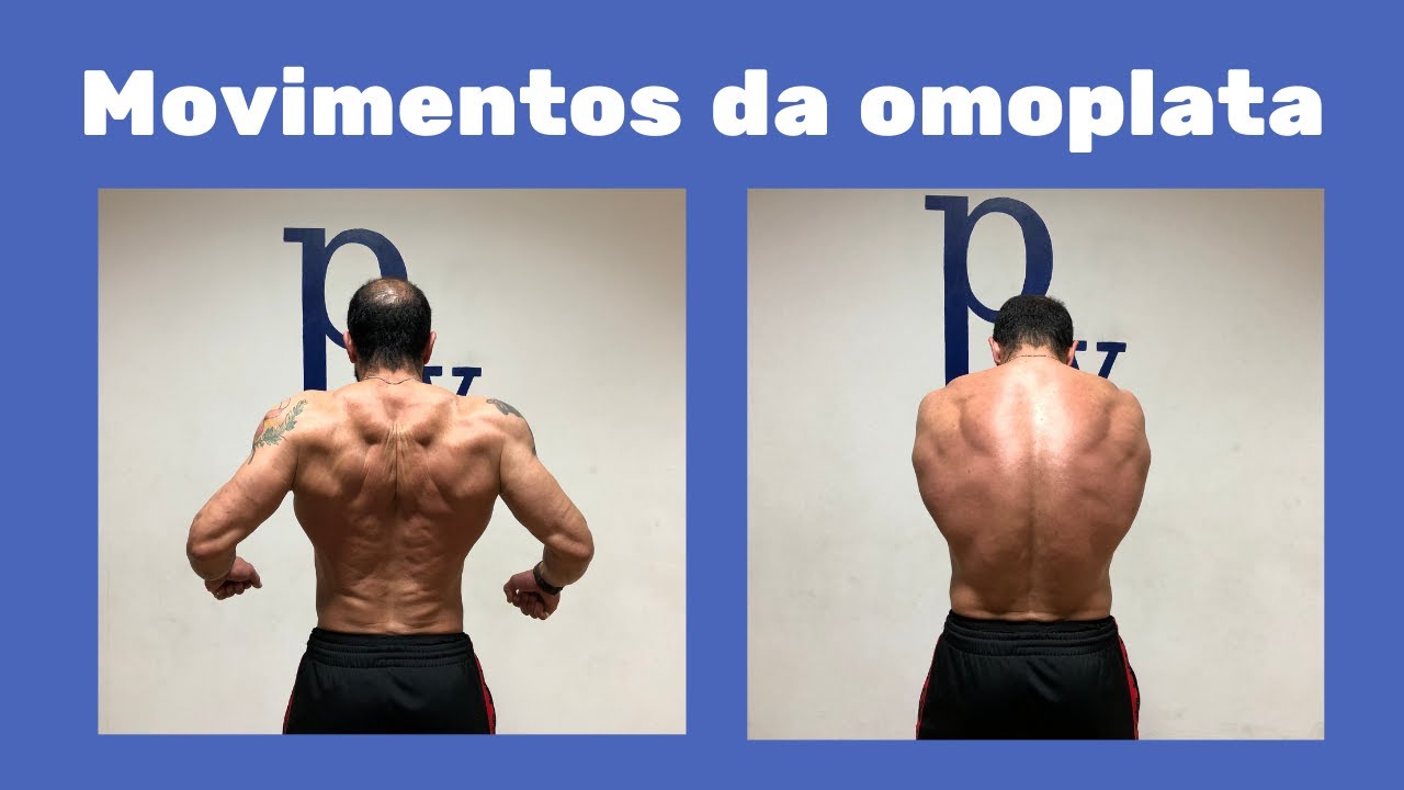 Omoplata é Masculino Ou Feminino - LIBRAIN