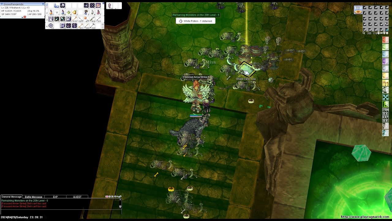 iRO Chaos - Endless Tower Drake Card Drop - YouTube