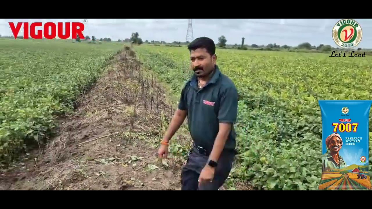 विगर 7007 रिसर्च सोयाबिन, vigour Biotech pvt Ltd indore, शेतकरी-सुनील ...