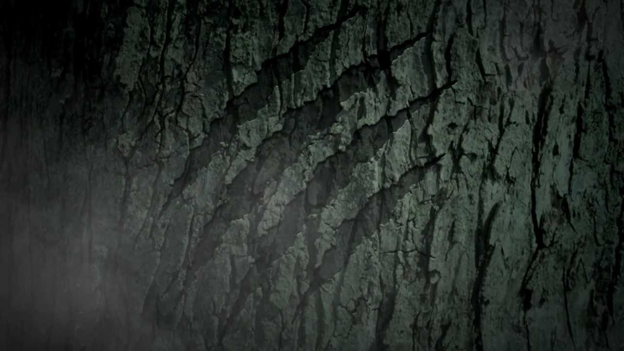 Indiana Teller tome 2 : Lune d'été - Trailer HD 30s - Sophie Audouin ...