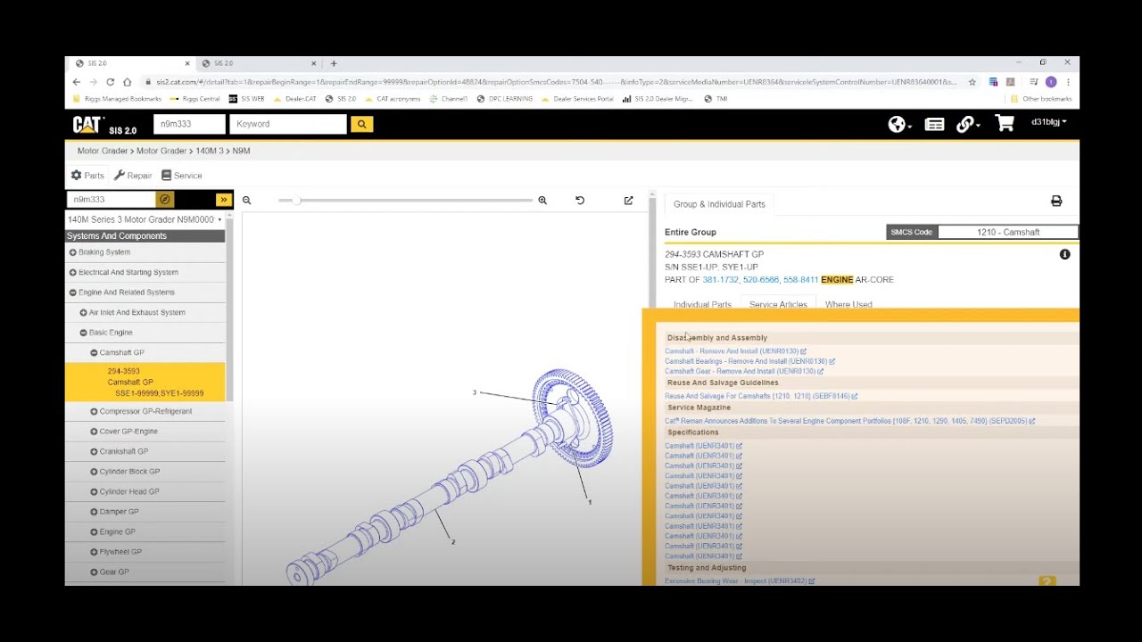 Riggs Cat | SIS 2.0 Video Training | Part 3 - YouTube
