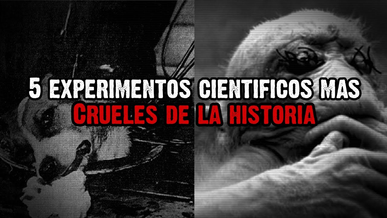 5 EXPERIMENTOS científicos más MACABROS de la historia (Hechos en ...