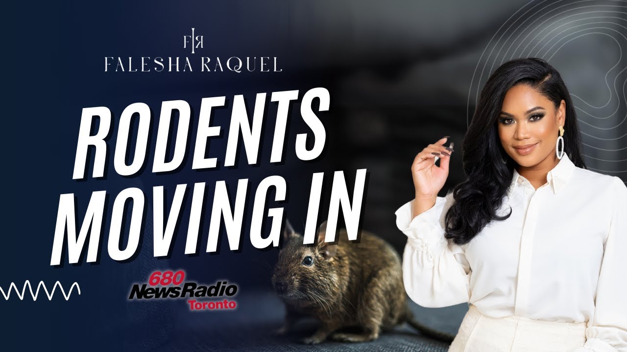 Rodents Moving In - YouTube