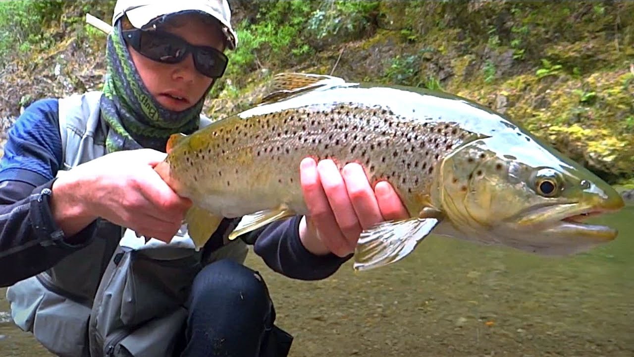 Solo Fly Fishing Mission in the Backcountry *BIG FISH* - YouTube