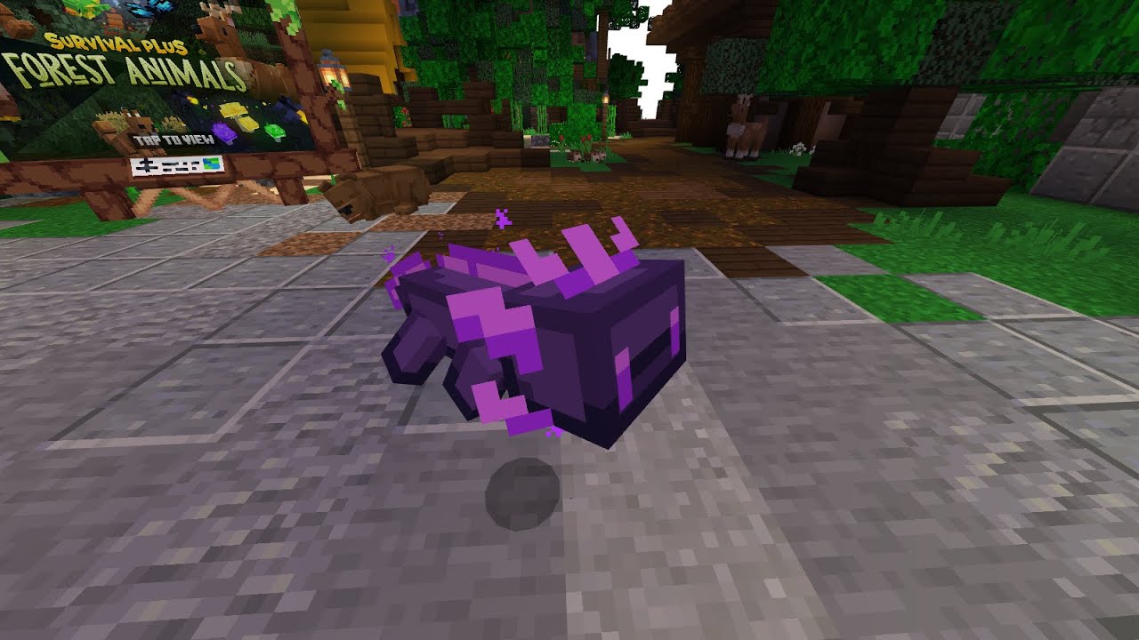 Getting the Endolotl pet in the HIVE!!! (Hive Bedrock) - YouTube