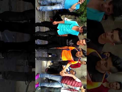 Vanli dugunleri(2)