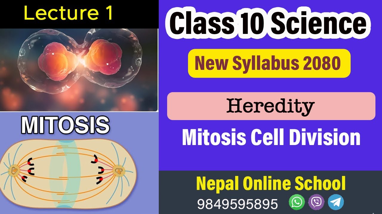 Heredity | Mitosis cell divison | Class 10 Science | New Syllabus 2080 ...