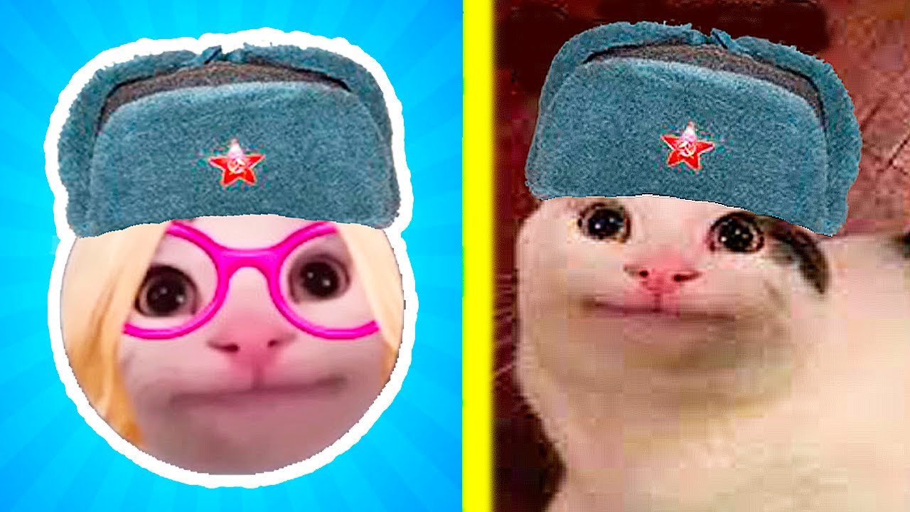 РУССКИЙ КОТИК БЕЛУГА И ЕГО МАМА ! - Beluga: When Mom Changes the WiFi ...