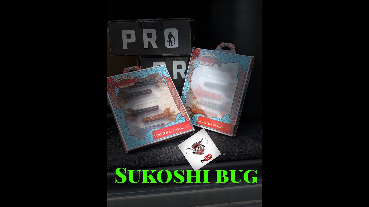 THE SUKOSHI BUG from 10,000 Fish - YouTube