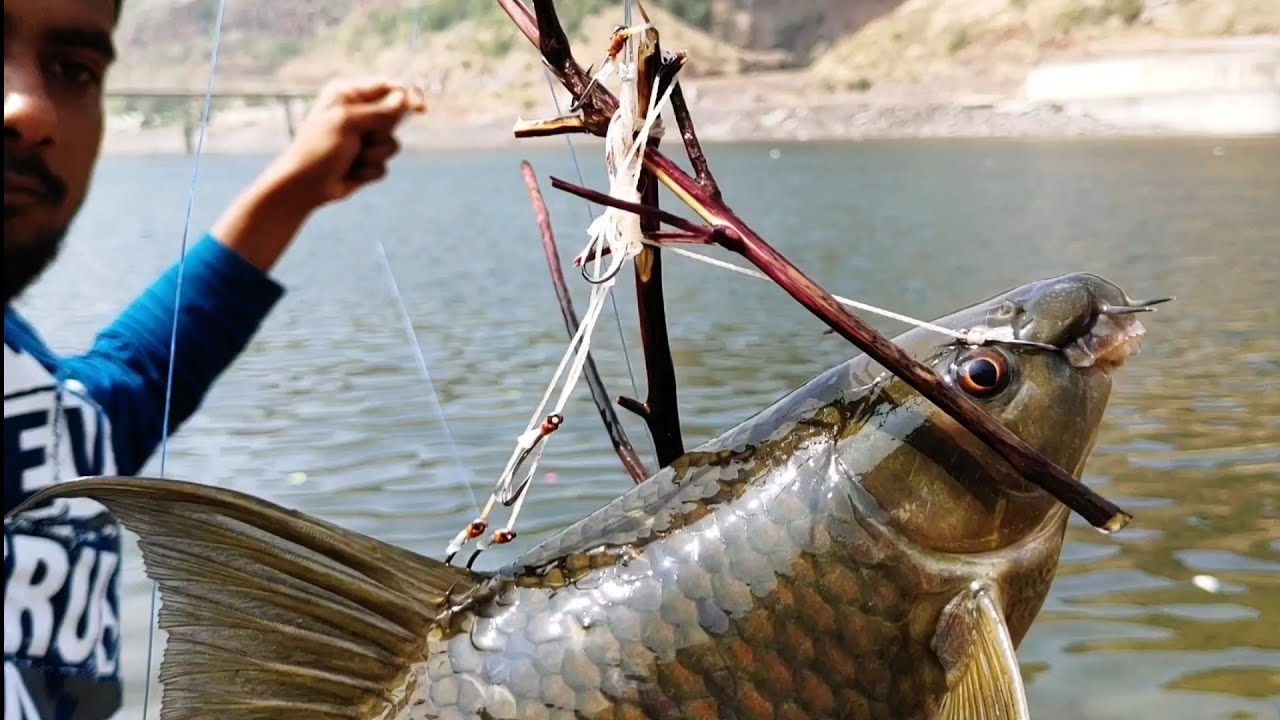 I Never seen Fishing || Fishing in srisailam reservoir || Fishing near ...