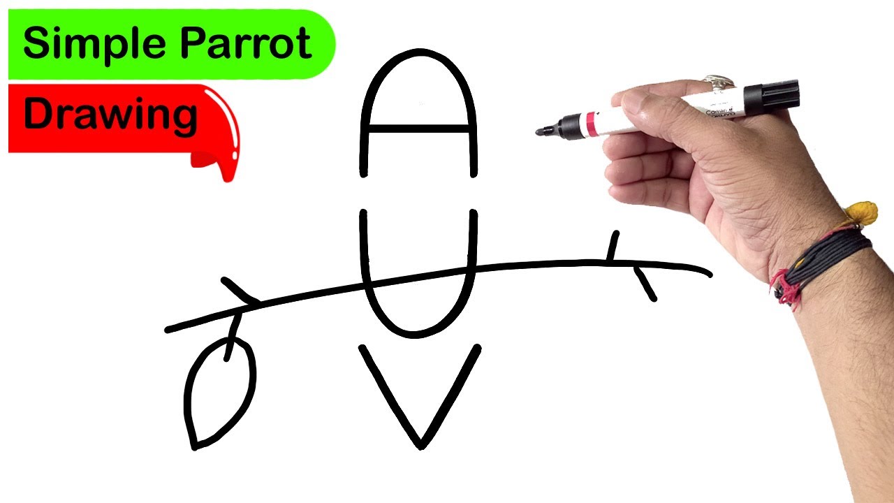 Dimag ke tote udane wala toteka drawing😀 | Parrot Drawing Simple Steps ...