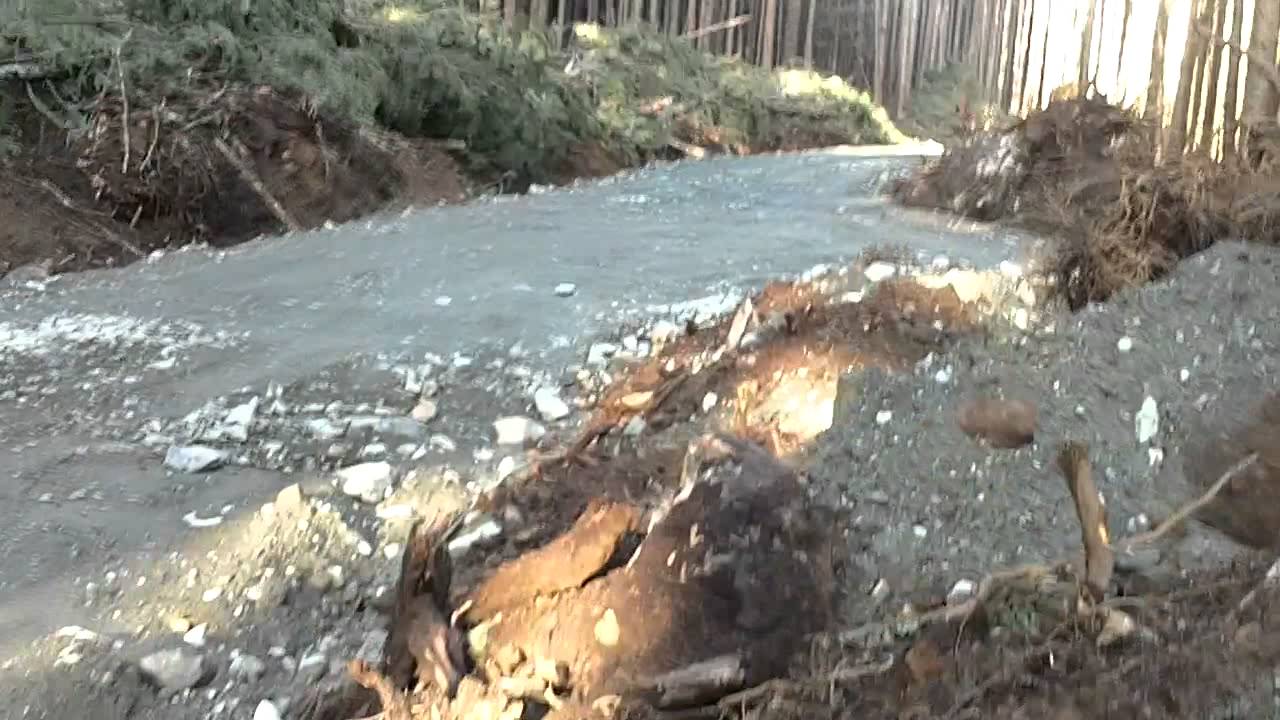 Tansky is being partly logged ,Part 3 - YouTube