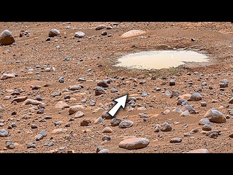 Perseverance Rover Footage - Sol 883 | Perseverance Rover Update | Mars ...