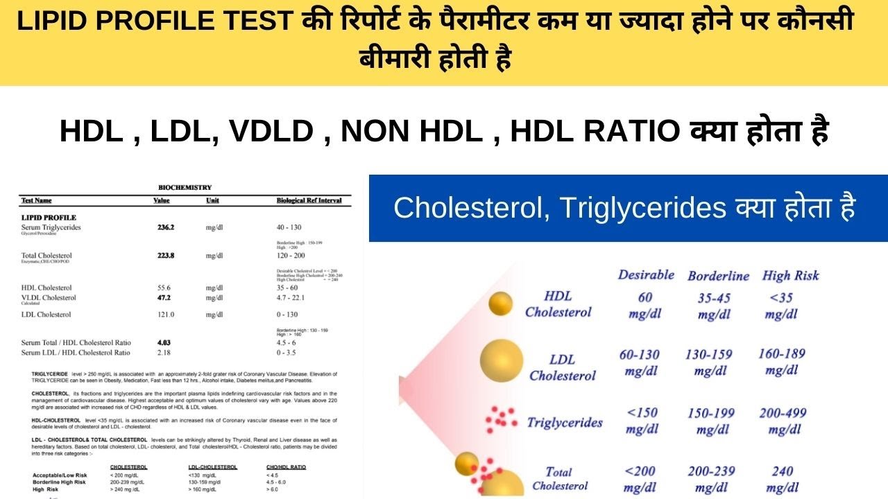 LIPID PROFILE TEST | CHOLESTROL TEST | HEART BLOOD TEST | NORMAL RANGE ...