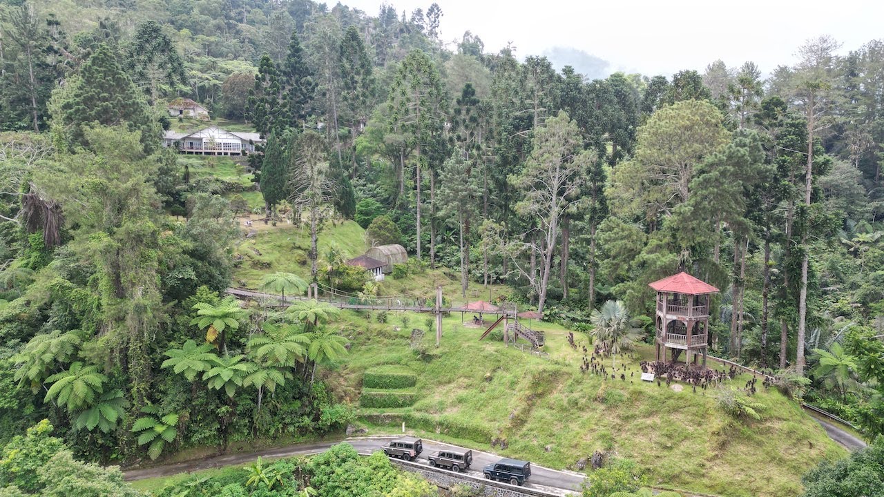 🇲🇾 Bukit Larut, Taiping , Malaysia | Maxwell Hill | 咖啡山 | 太平山 - YouTube