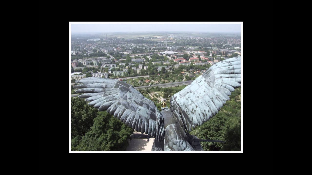 Fehér fotó: Turul madár - YouTube