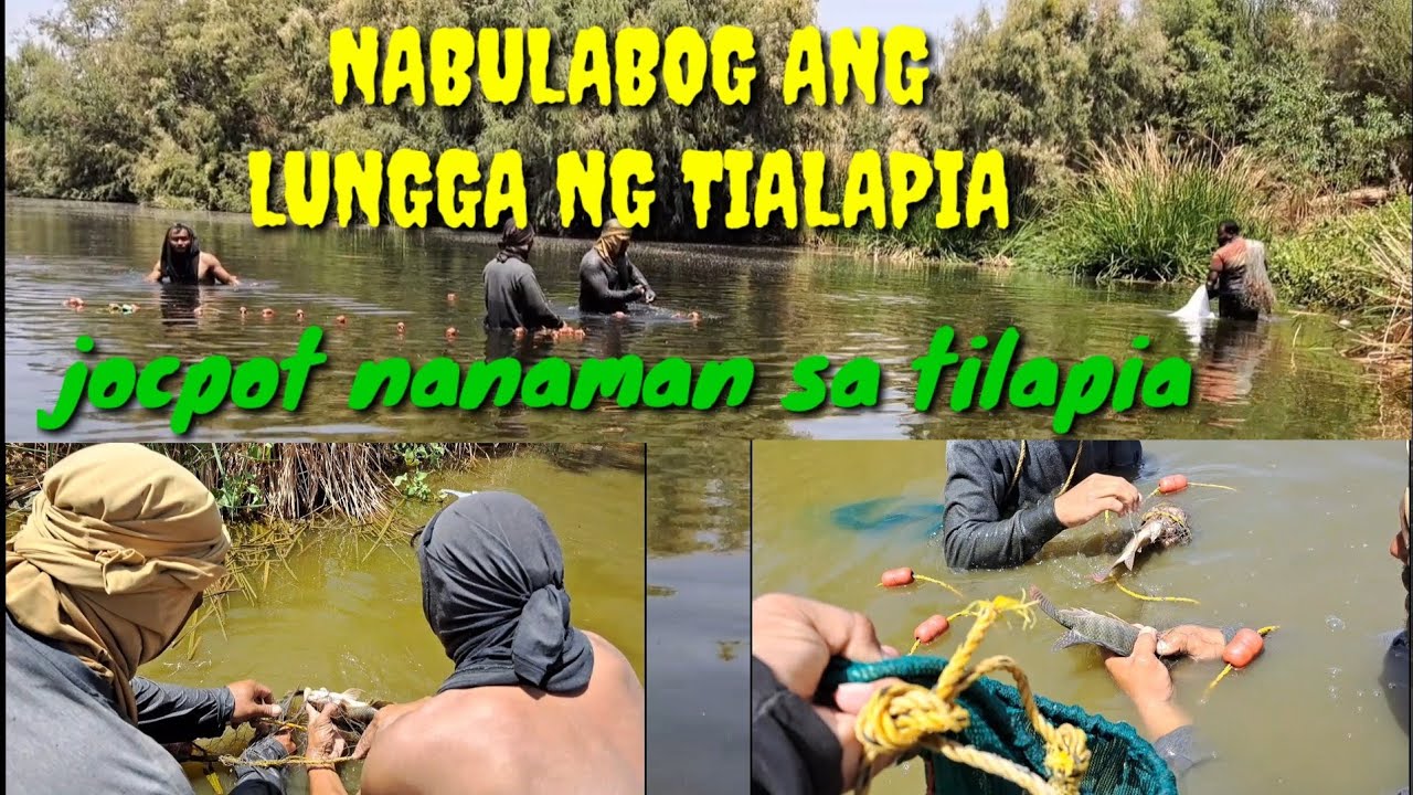BUHAY OFW , NAKATAGPO KAMI NG LUNGGA NG TILAPIA# Rogelio#MixVlog ...