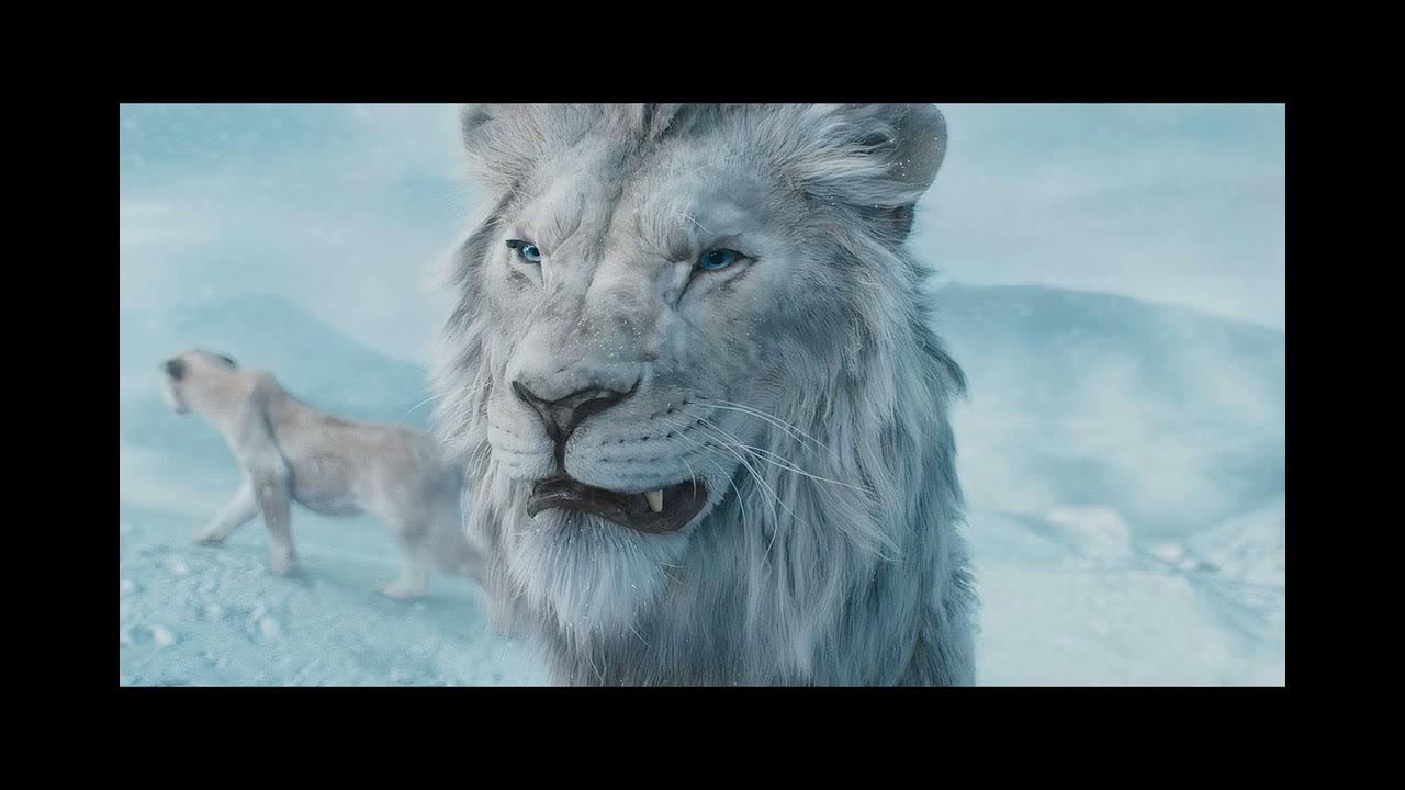 Disney Just Created a Confusing Mufasa Plot Hole That Makes No Sense - YouTube