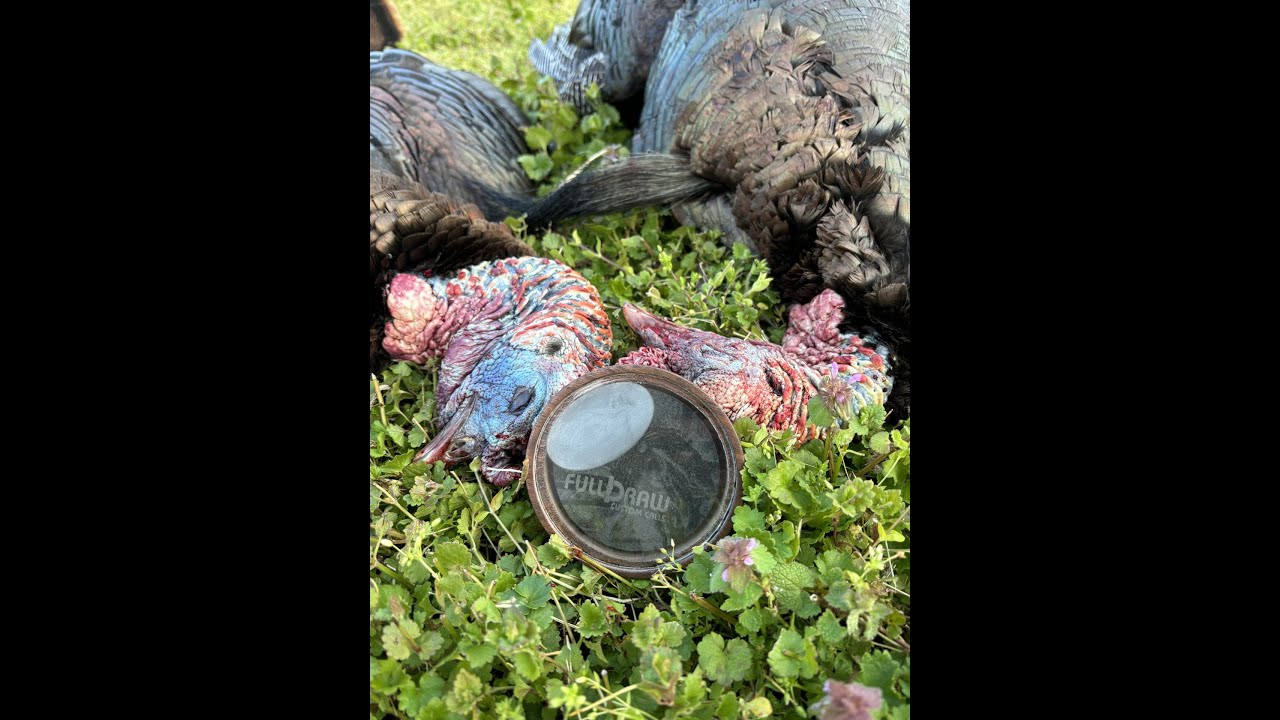 Indiana Turkey Season 2024 - YouTube