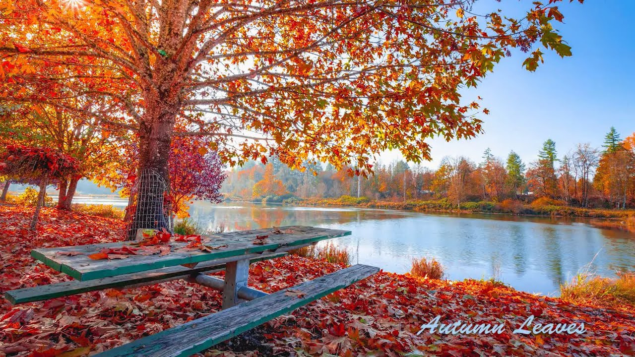 Ensaiando Autumn Leaves na Mostra de Cursos de 23/09/2022 - YouTube