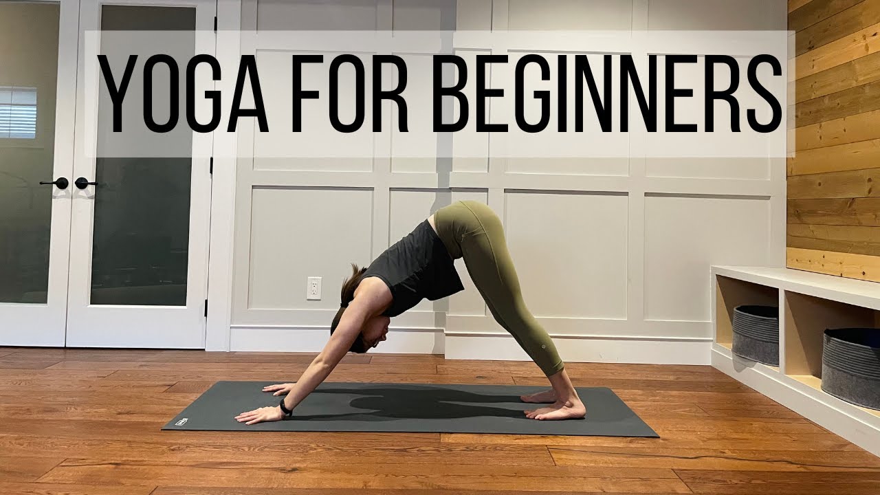 Beginner Yoga Flow | Learn the Foundations of Yoga - YouTube