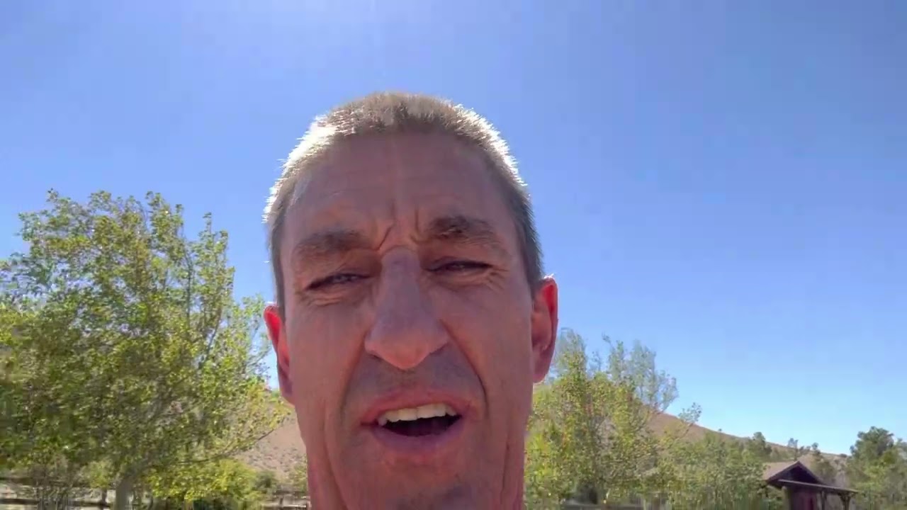Garden Update Youtube
