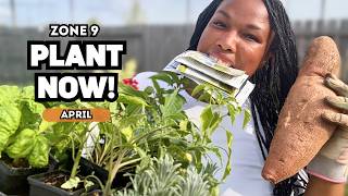 Zone 9 April Planting: 25+ Plants to Grow Right Now