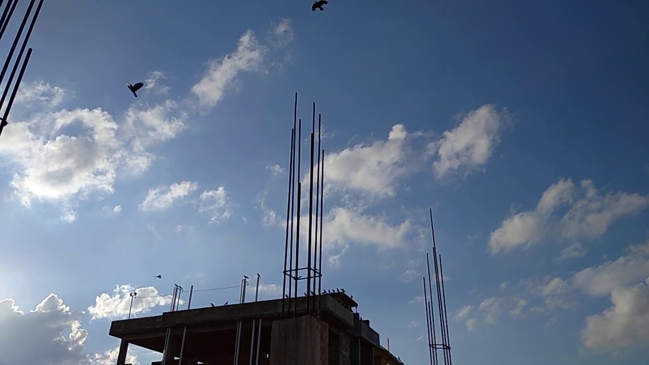 #pakhi #kak #beauty_of_nature - YouTube