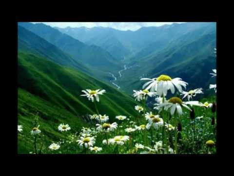 BOSELTA sevdaluk yürek yakar