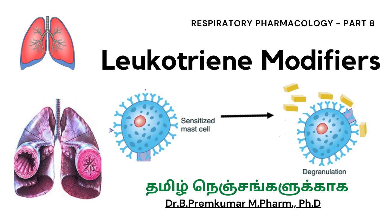 Leukotriene modifiers - Respiratory Pharmacology - Part 8 - Tamil - YouTube