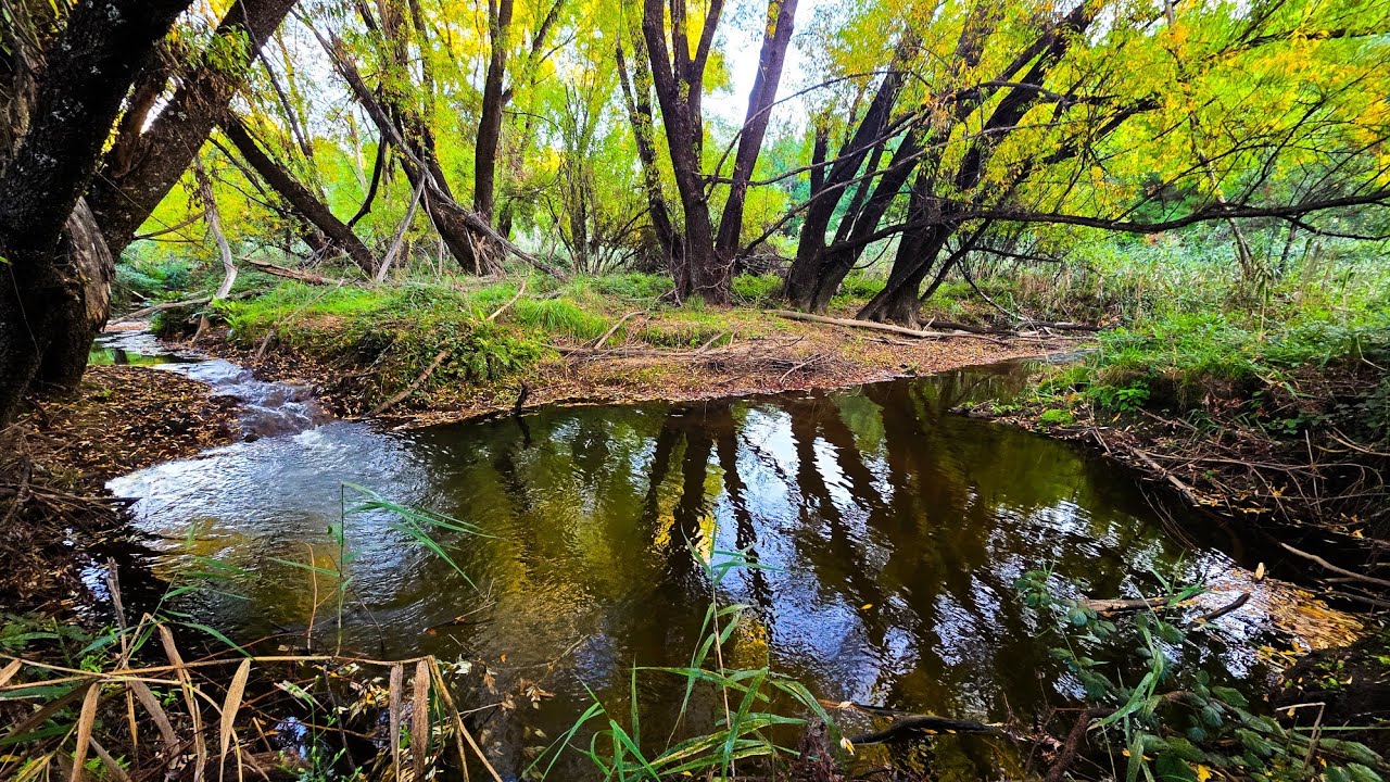 Fishing For Blackfish In Deep Dark Hidden Pools - YouTube