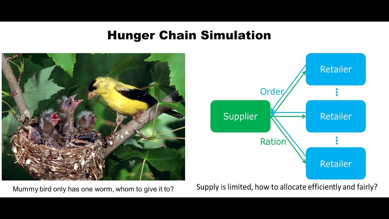 Hunger chain simulation introduction - YouTube