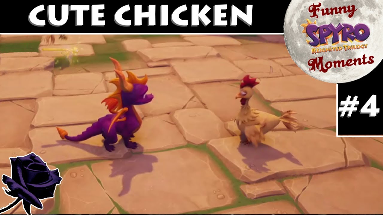 Funny Spyro Moments #4 | Cute Chicken - YouTube