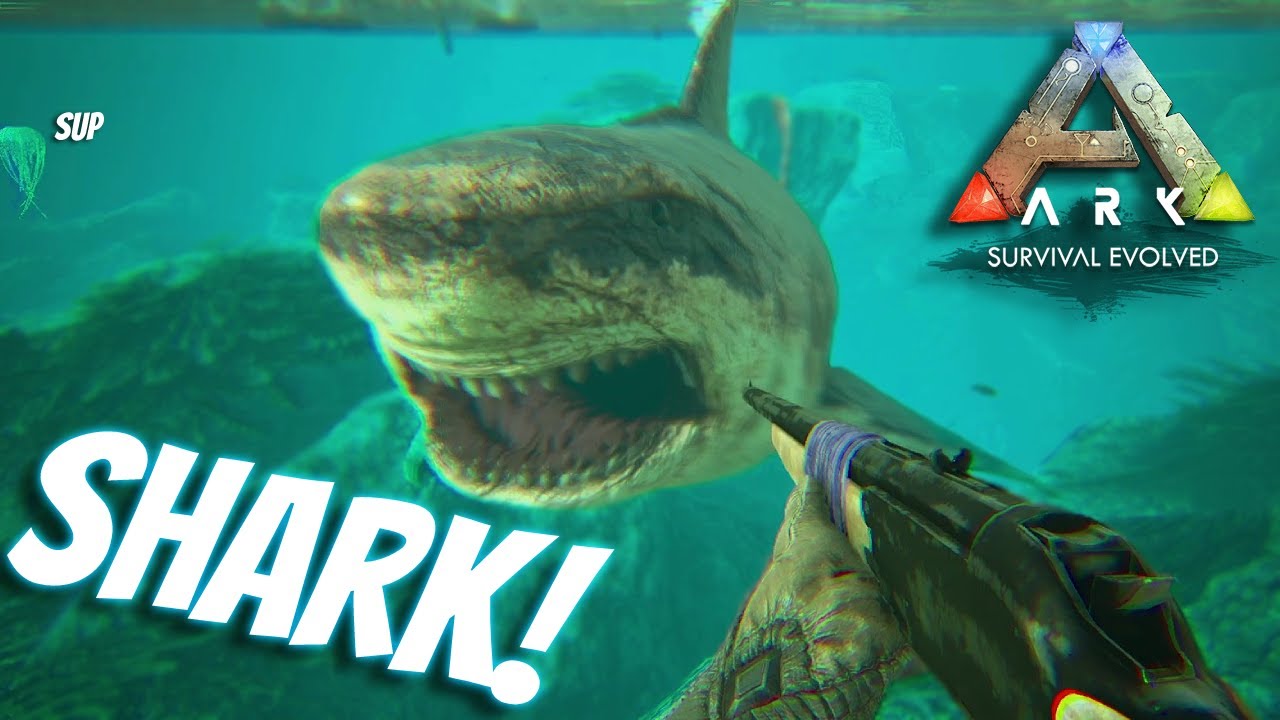 (We Tamed a Shark!) Man Verse Wild! Lol - Ark Survival Evolved - YouTube