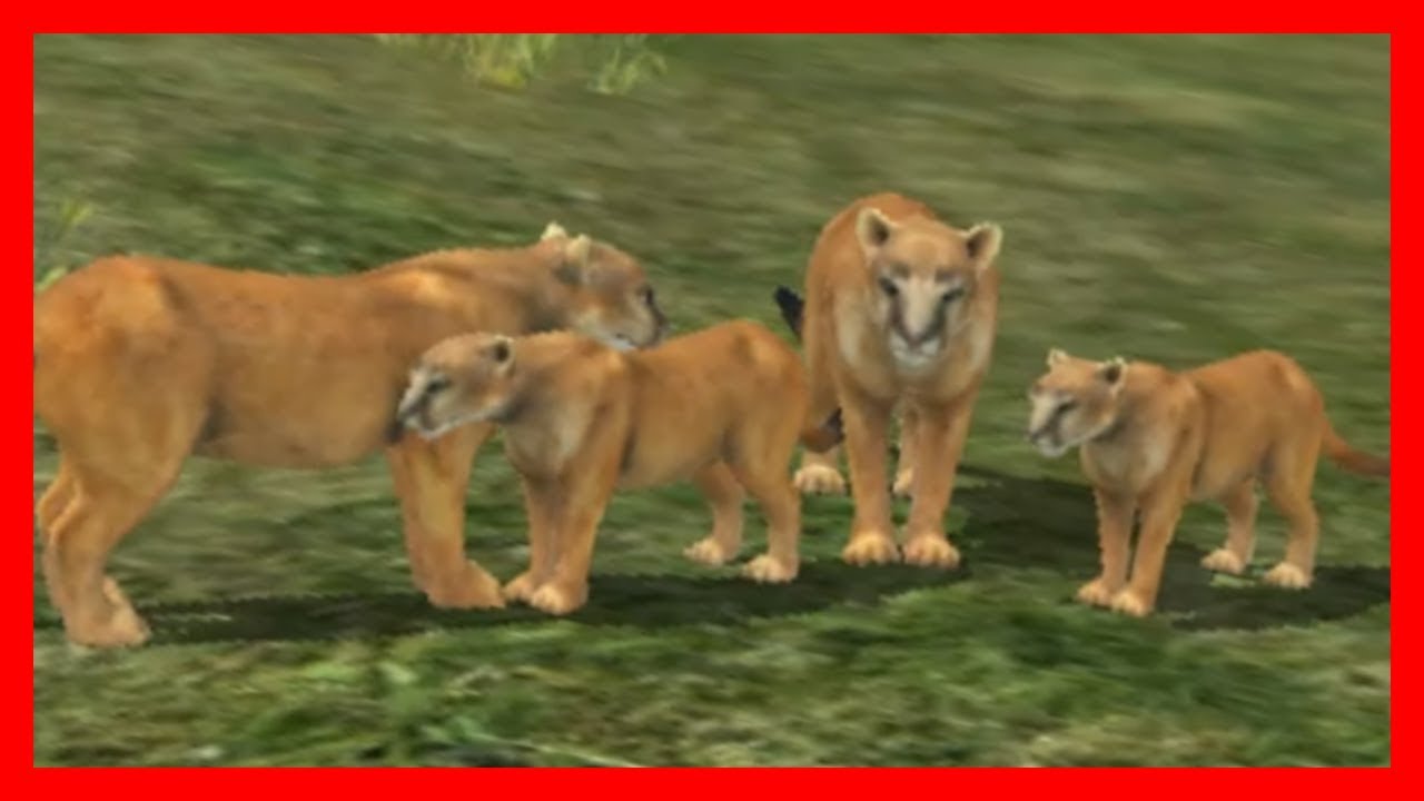СИМУЛЯТОР ПУМЫ #3 СЕМЬЯ ПУМЫ ДИКАЯ КОШКА в Puma Sim - YouTube