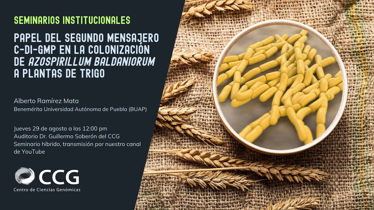 Seminario CCG: Dr. Alberto Ramírez Mata. - YouTube