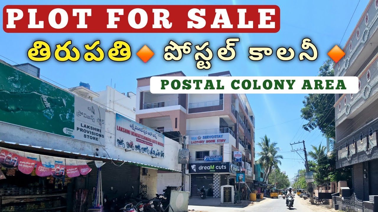 తిరుపతి,[PLOT FOR SALE],NEAR 🔸️పోస్టల్ కాలనీ🔸️ POSTAL COLONY AREA NORTH ...