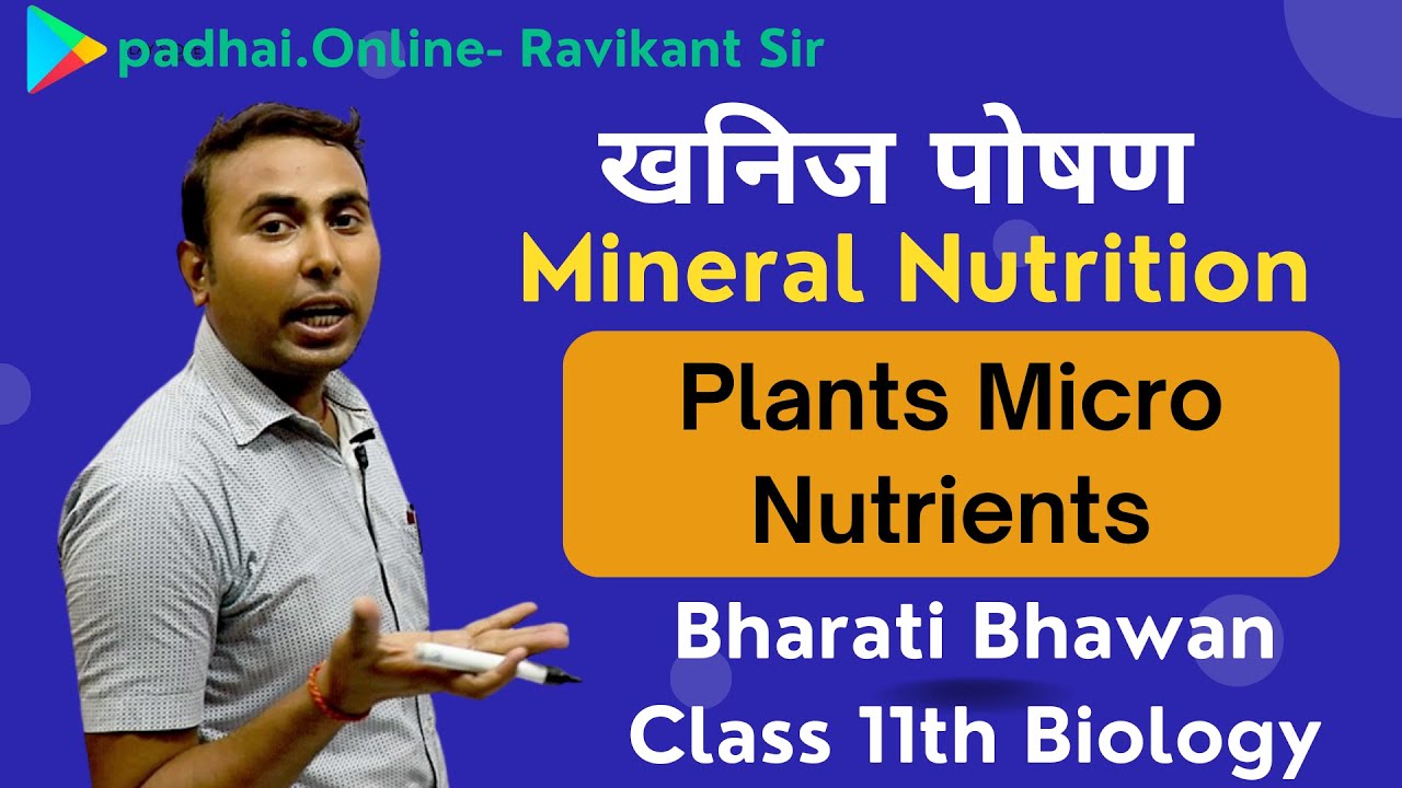 Plants Micro Nutrients Bharati Bhawan Class 11th Biology plants-micro-nutrients-bharati-bhawan-class-11th-biology