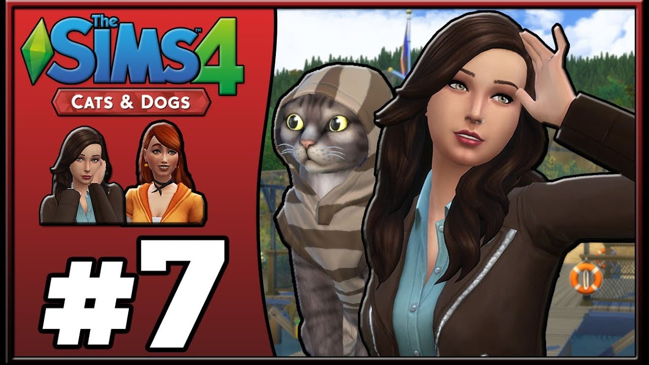 Ghost Cats! SEAGULL Feather!! | Let's Play The Sims 4: Cats & Dogs ...