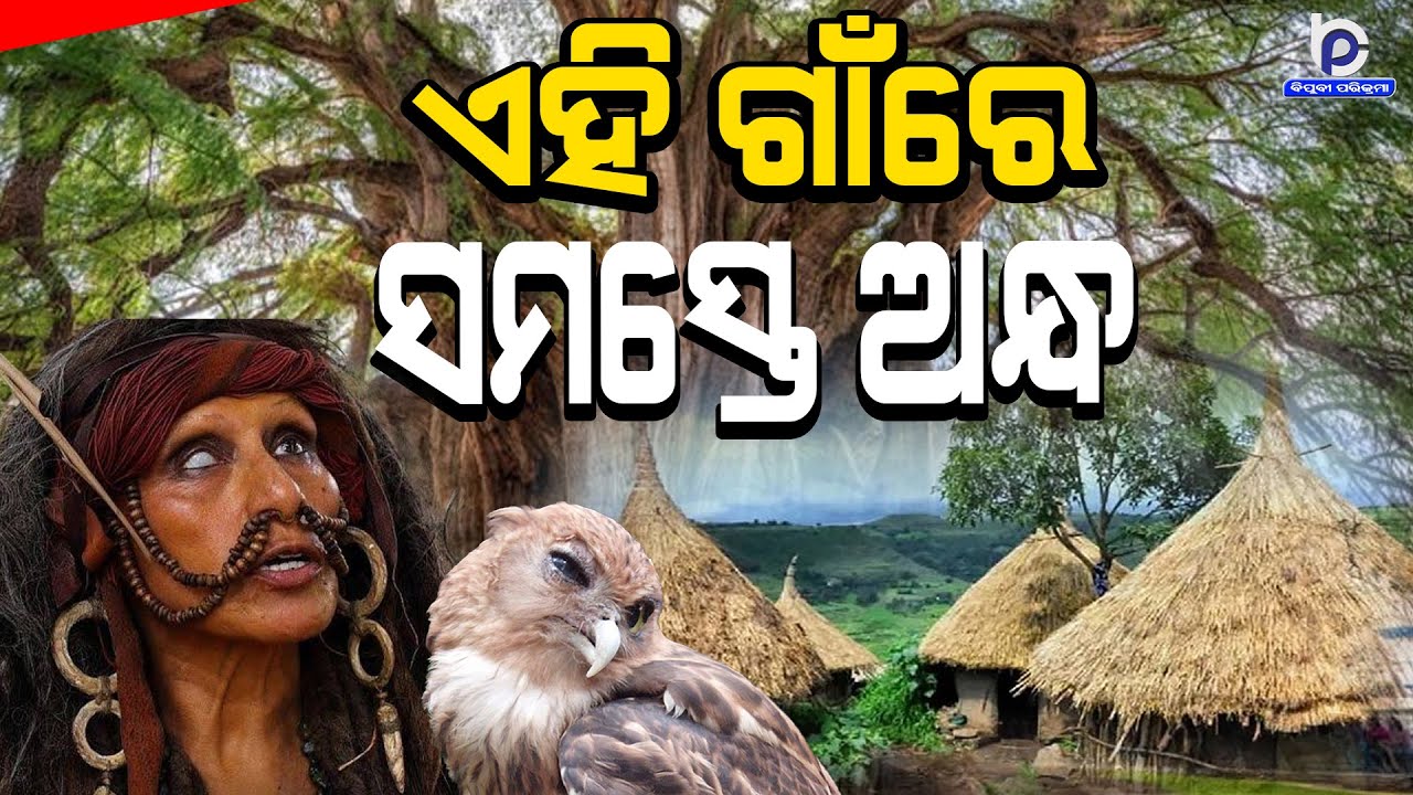 Blind Village in the World | Mexico Blind Village | Tiltepec Village in ...