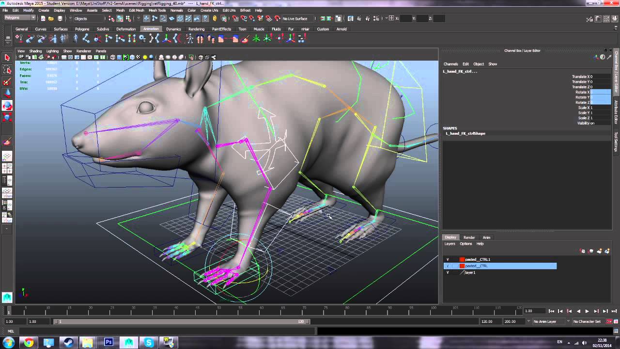Rat Rig Test - YouTube
