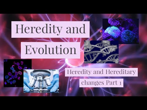 Heredity and Evolution Class 10th Science||Heredity and Hereditary ...